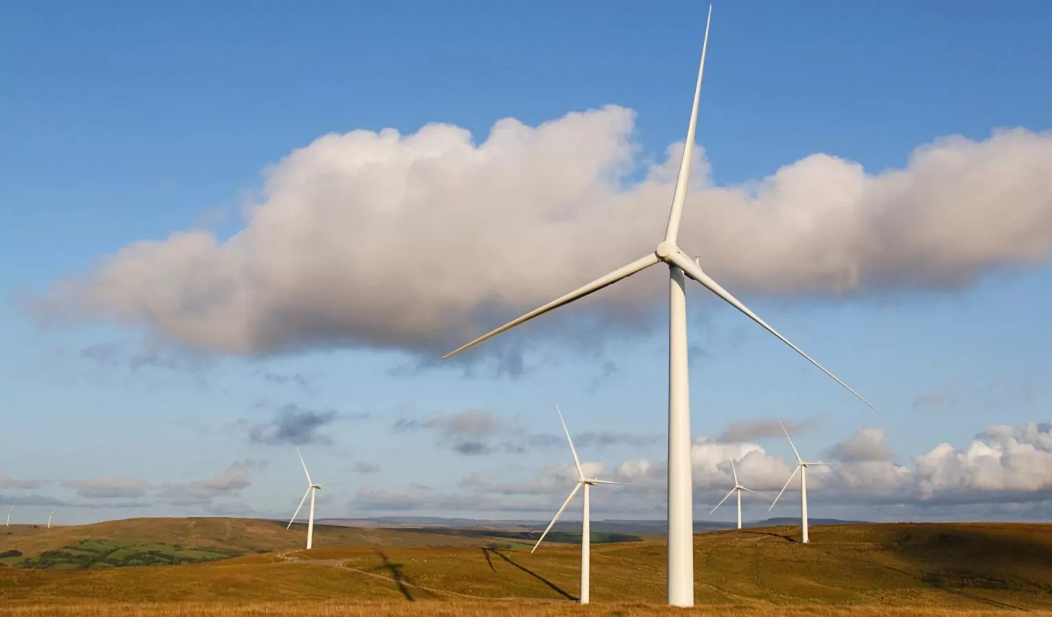 UK Grid Reform: What onshore renewable developers need to know - Locogen